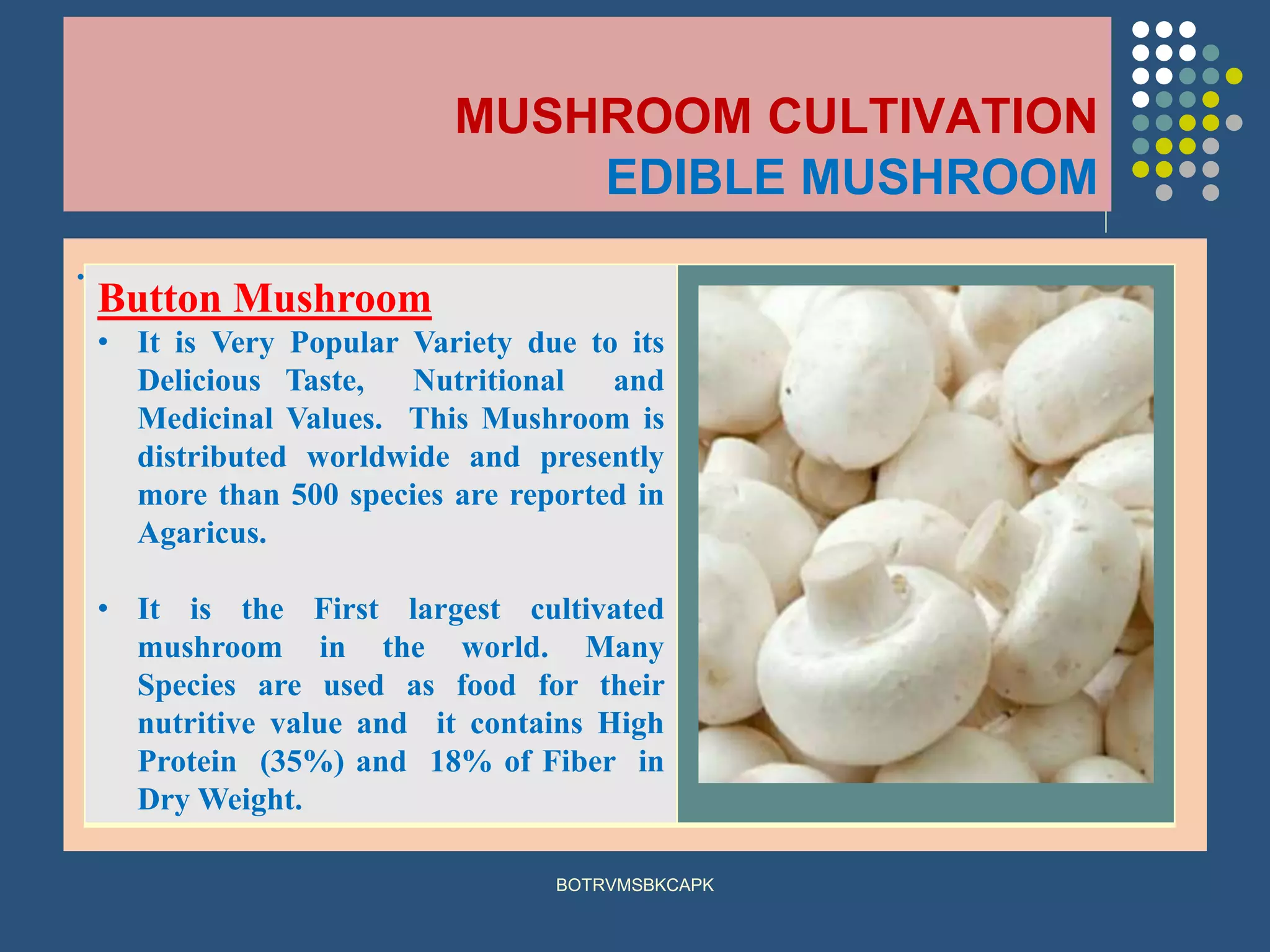 2 1 edible and non –edible mushroom | PPT