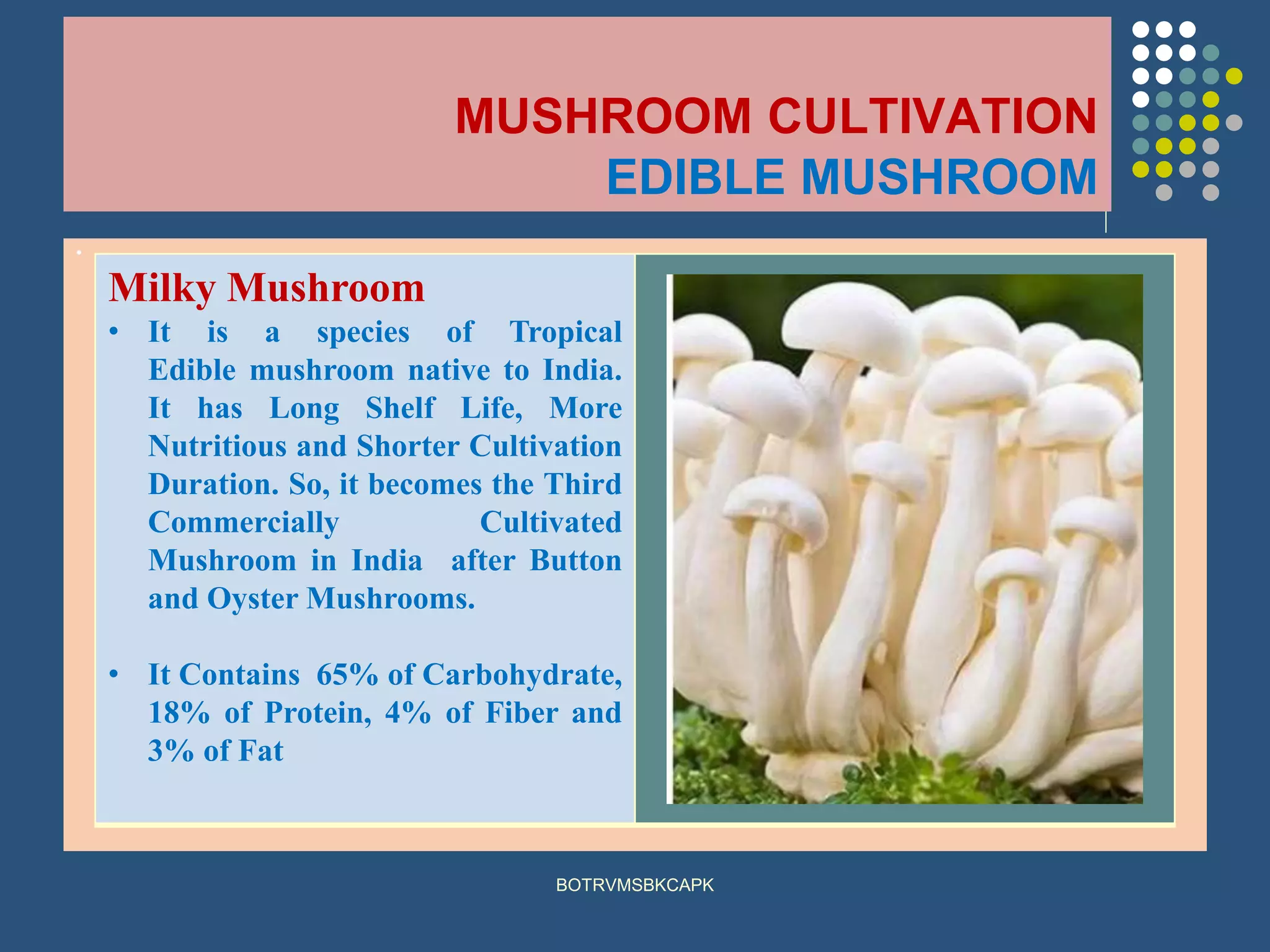 2 1 edible and non –edible mushroom | PPT