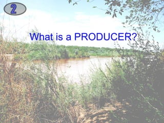 2.1 Energy Flow In Ecosystems | ODP