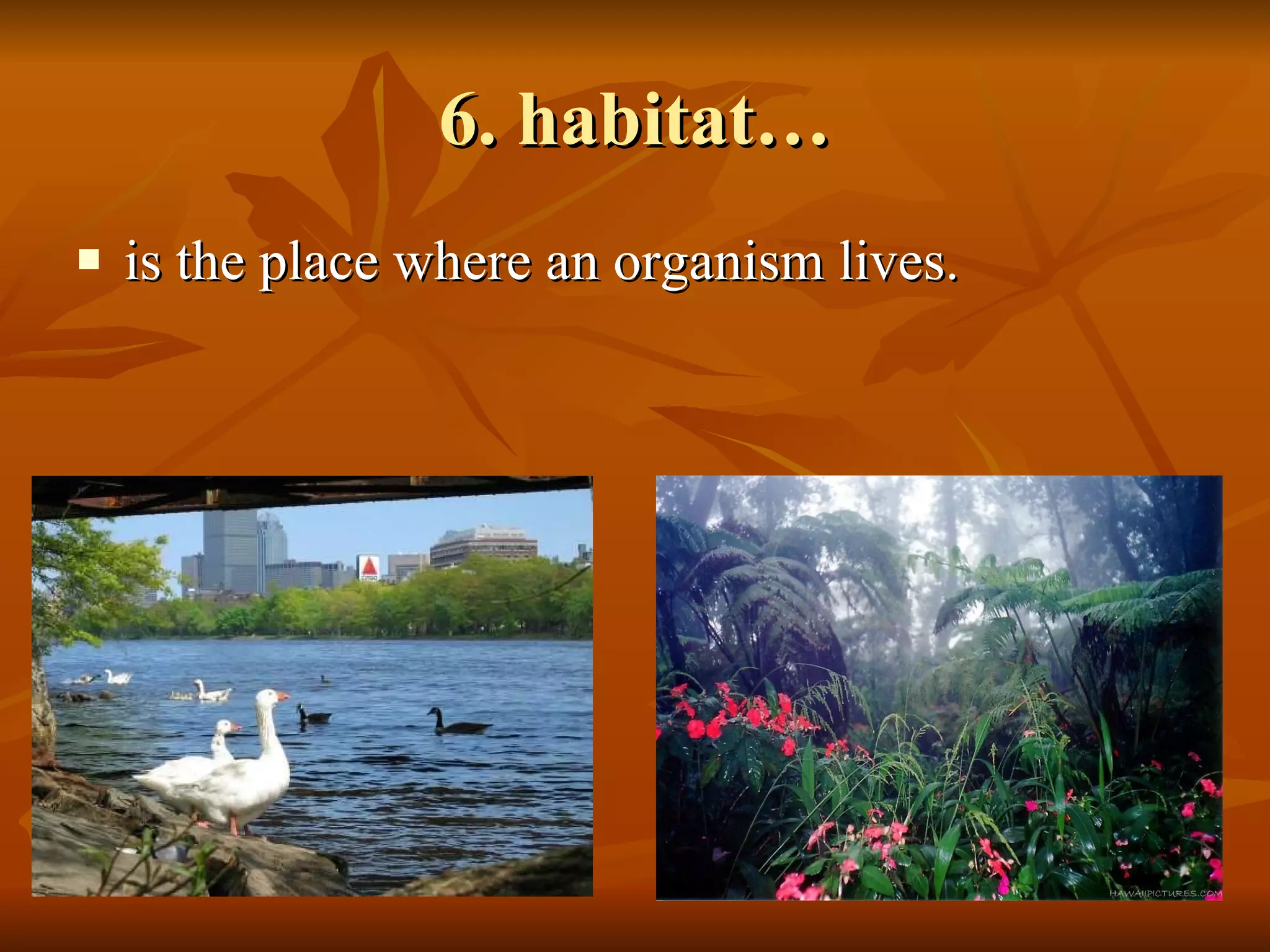 2.1 Interactions Ecosystem Notes Ch5 L1 | PPT