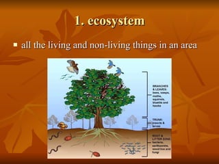 2.1 Interactions Ecosystem Notes Ch5 L1 | PPT