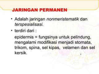 2.1 jaringan tumbuhan | PPT