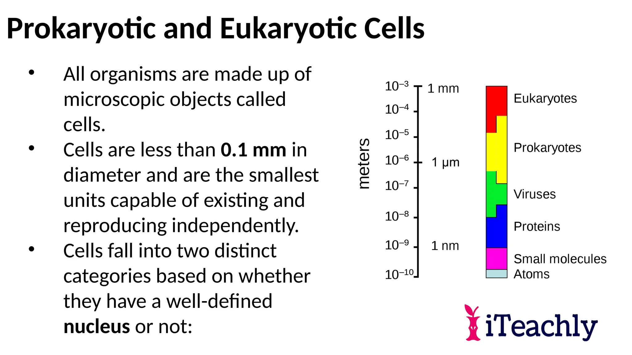 2-2-Slide-Show-Prokaryotic-and-Eukaryotic-Cells.pptx