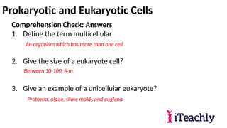 2-2-Slide-Show-Prokaryotic-and-Eukaryotic-Cells.pptx