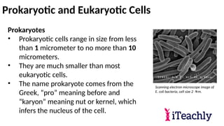 2-2-Slide-Show-Prokaryotic-and-Eukaryotic-Cells.pptx