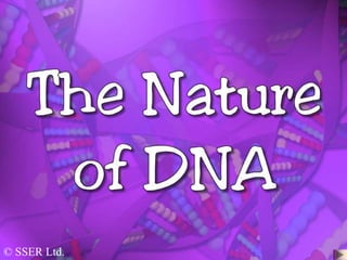 2.5 the nature of dna | PPT