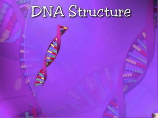 2.5 the nature of dna | PPT
