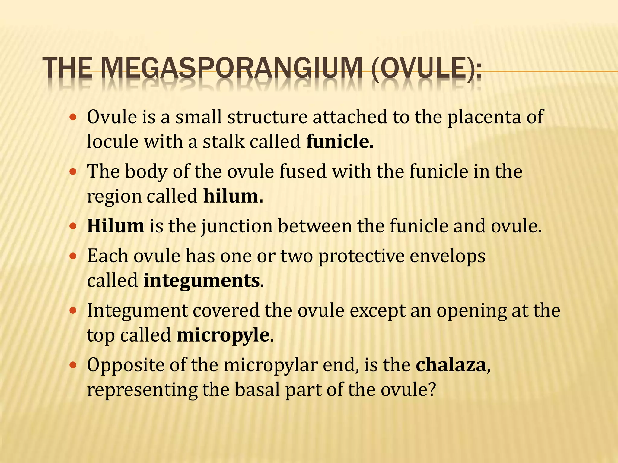Sexual Reproduction In Flowering Plants | PPTX