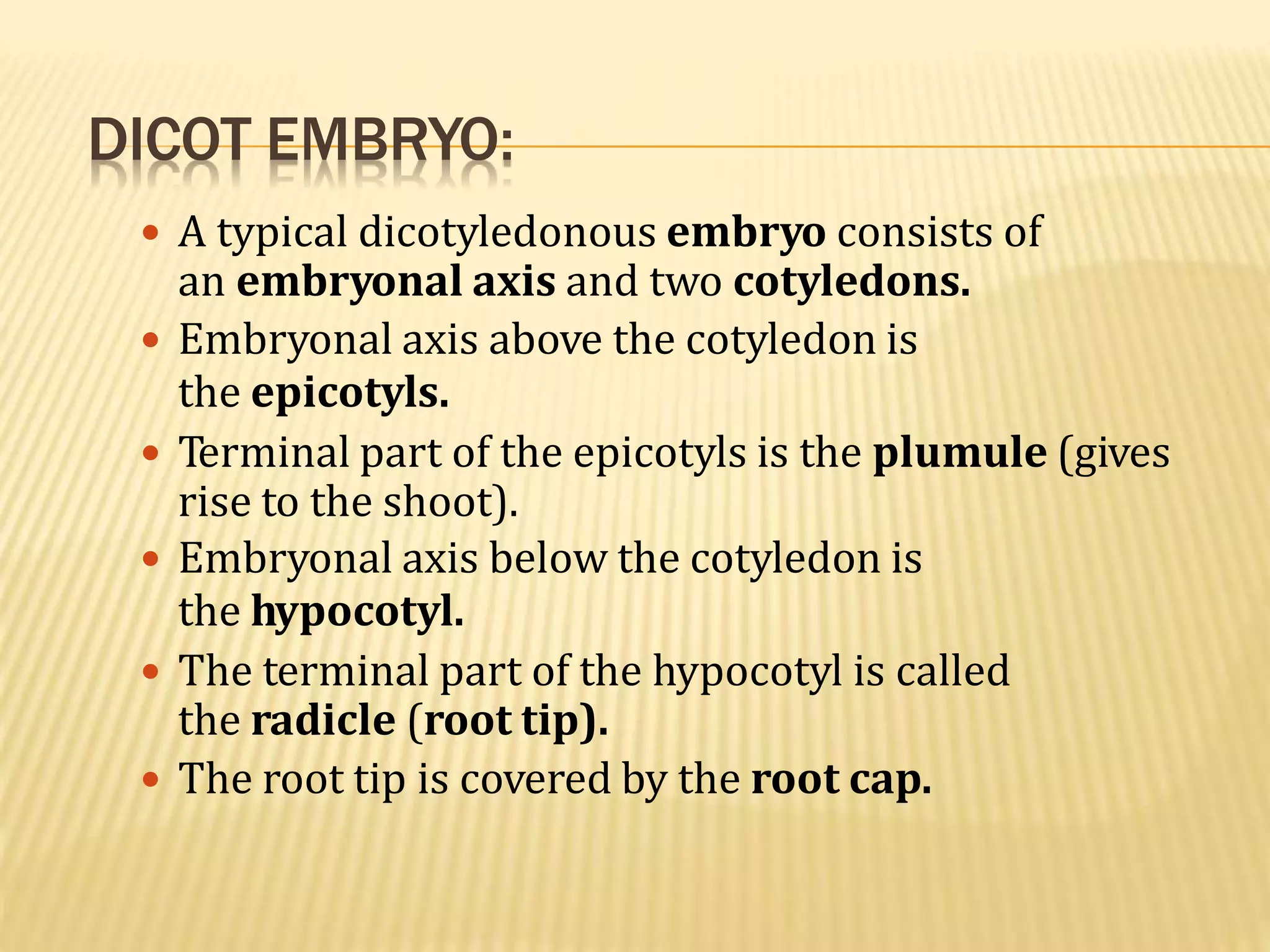 Sexual Reproduction In Flowering Plants | PPTX