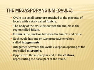 Sexual Reproduction In Flowering Plants | PPTX