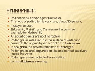 Sexual Reproduction In Flowering Plants | PPTX