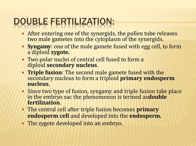 Sexual Reproduction In Flowering Plants | PPTX