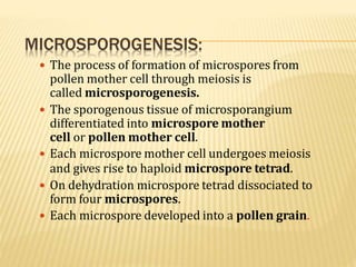 Sexual Reproduction In Flowering Plants | PPTX