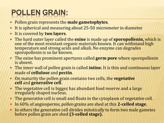 Sexual Reproduction In Flowering Plants | PPTX