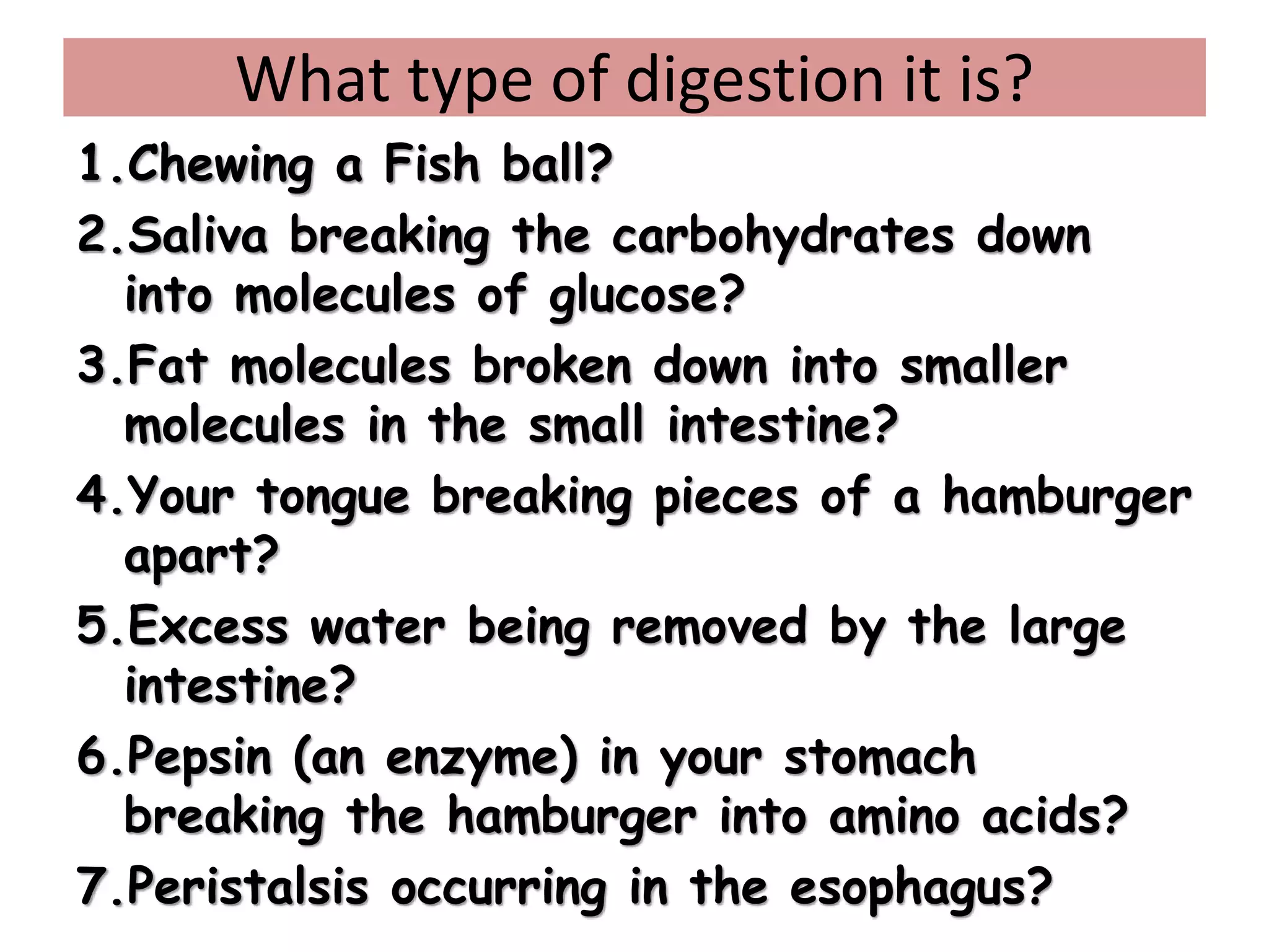 two types of digestion | PPTX