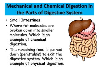 two types of digestion | PPTX