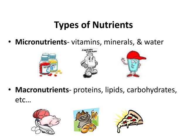 two types of digestion | PPTX | Digestive Disorders | Diseases and ...