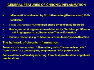2.Chronic Inflammation | PPT