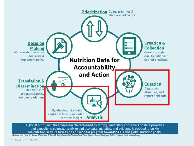 T4N - Session 2: Introduction to data curation and analysis processes | PPTX