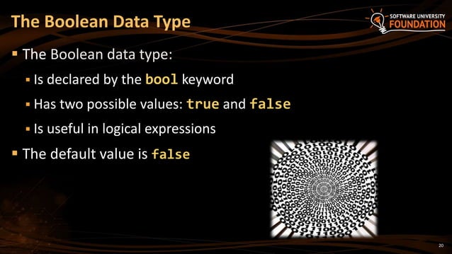 02. Primitive Data Types and Variables | PPTX | Programming Languages | Computing