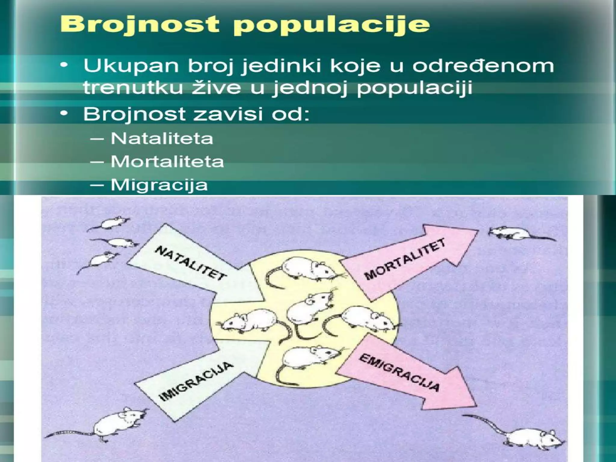 2. Struktura ekosistema | PPTX