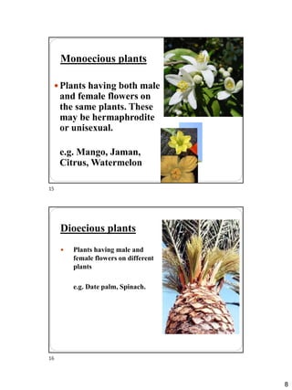 2. classification | PDF