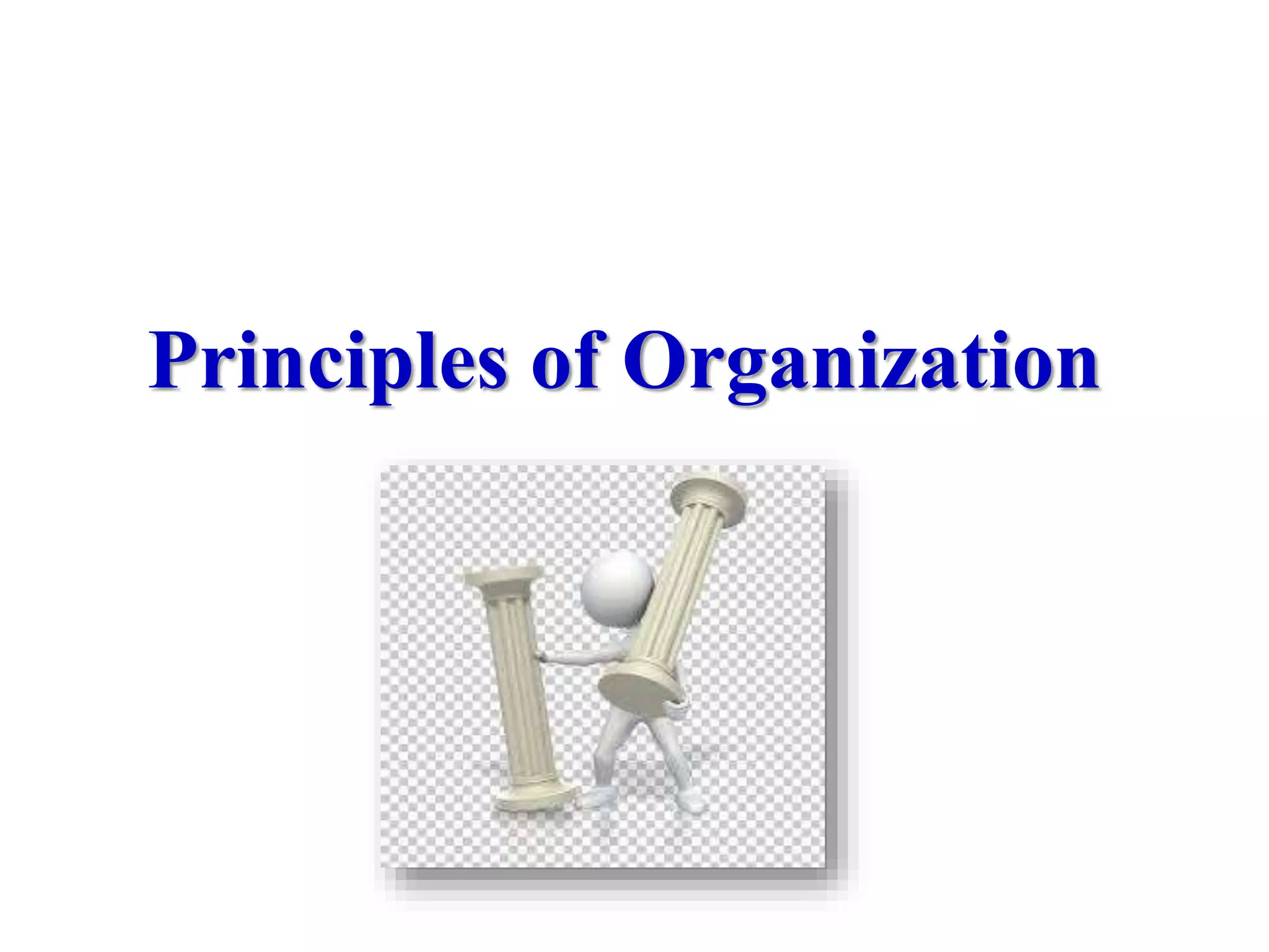 Organization- Management Process | PPT