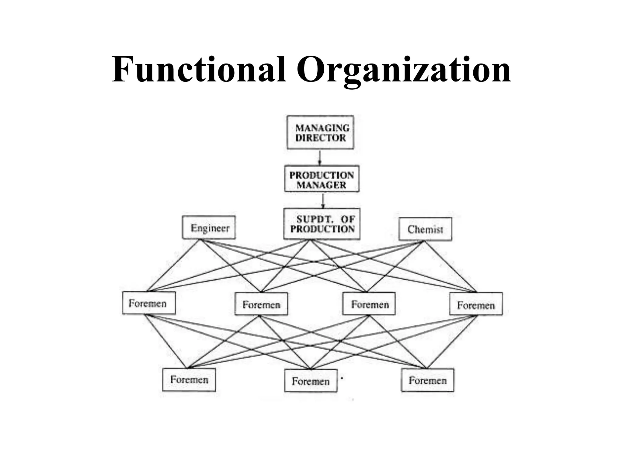 Organization- Management Process | PPT