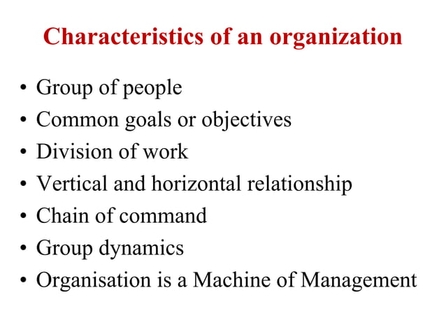 Organization- Management Process | PPT | Business | Business and Finance