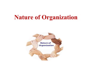 Organization- Management Process | PPT
