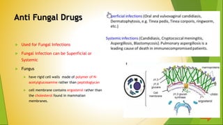2.5 antimicrobial agents( anti fungal) | PDF
