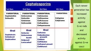 2.2 antimicrobial agents beta lactam drugs | PDF