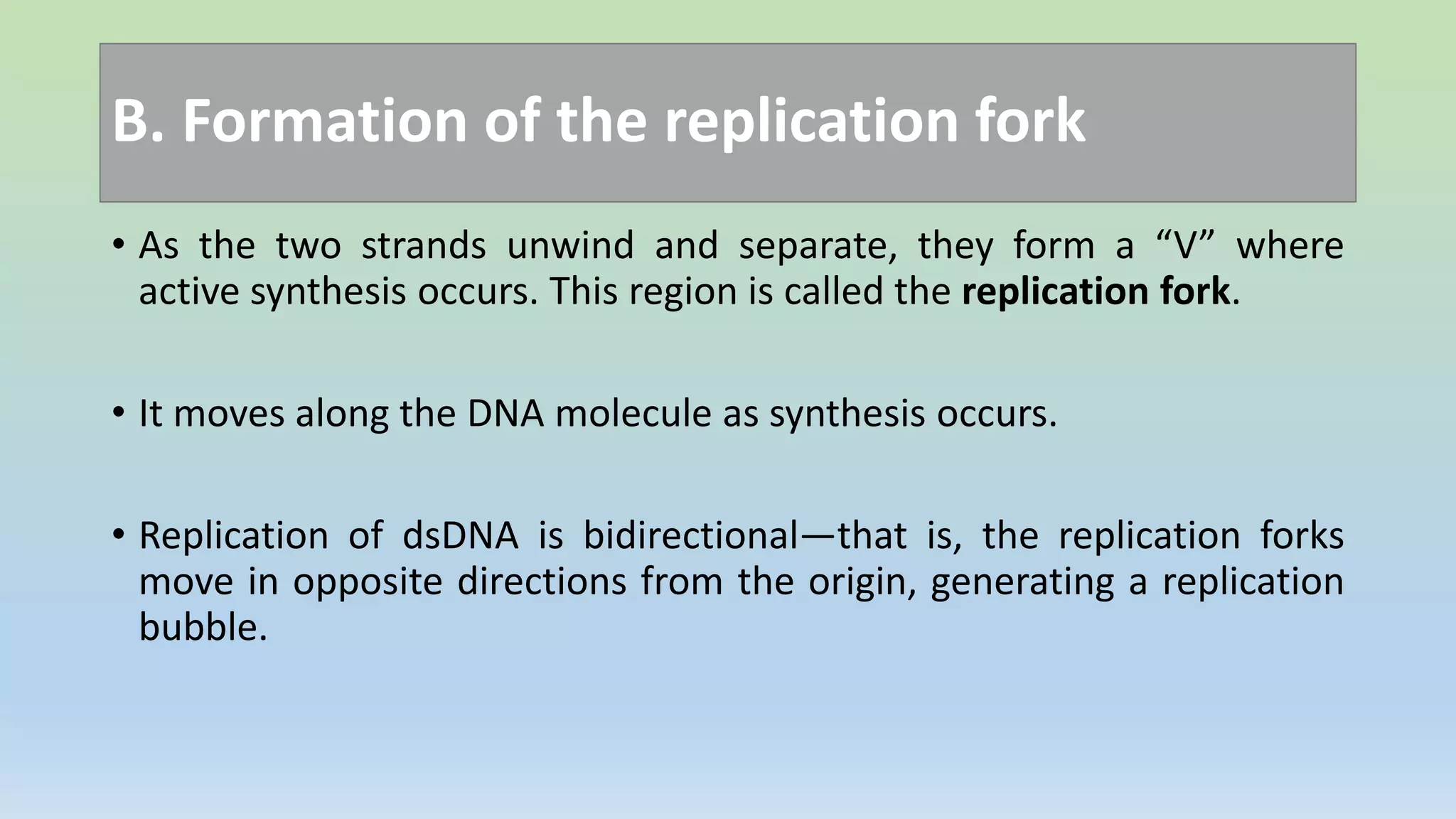 Replication fork in prokaryotic replication | PPTX