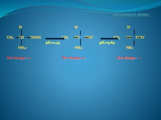Amino acids structure classification & function by KK Sahu sir | PPT
