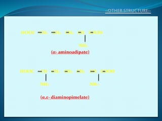 Amino acids structure classification & function by KK Sahu sir | PPT
