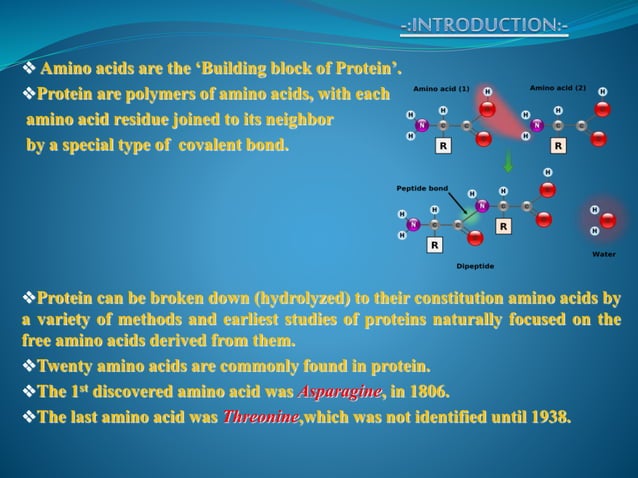 Amino acids structure classification & function by KK Sahu sir | PPT