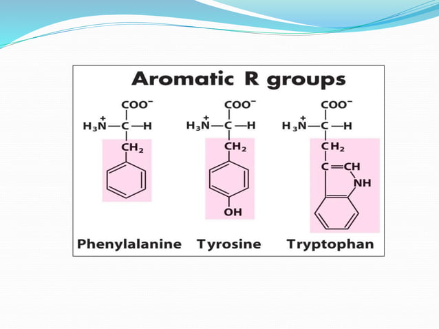 Classification of amino acid by KK Sahu sir | PPT