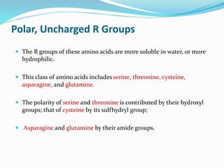 Classification of amino acid by KK Sahu sir | PPT