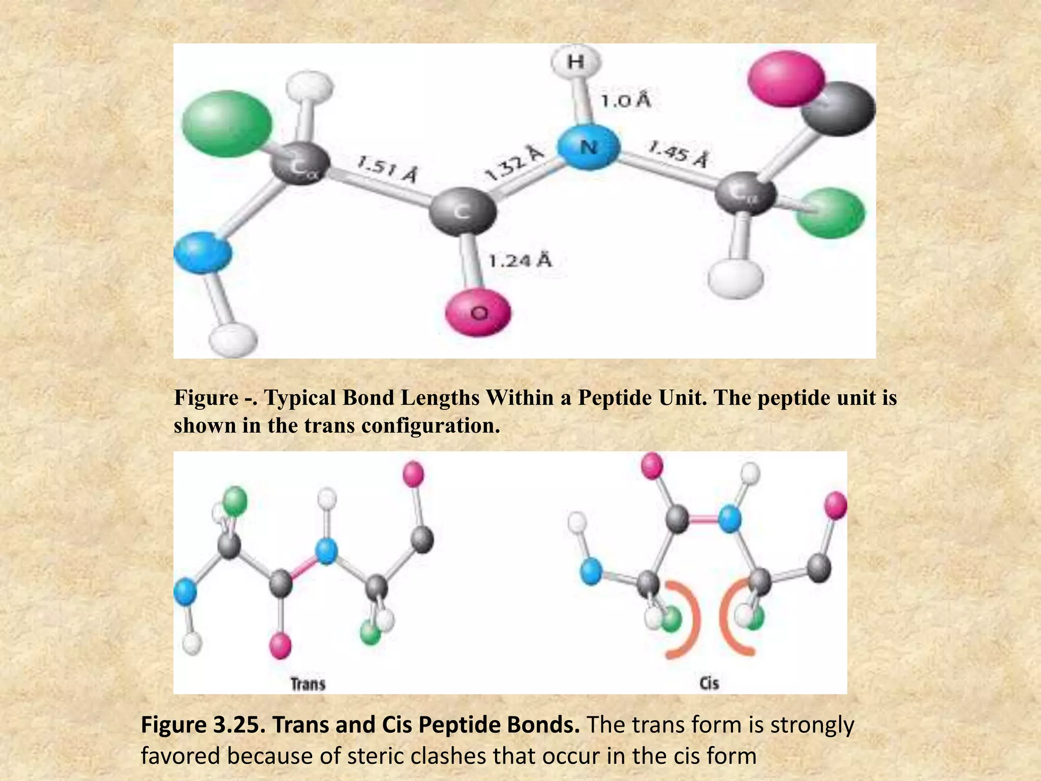 Peptide by KK Sahu sir | PPT