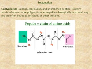 Peptide by KK Sahu sir | PPT