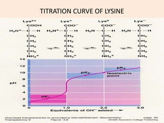 Titration curve of amino acid by KK Sahu sir | PPTX
