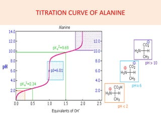 Isoleucine Titration Curve