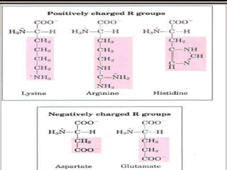 Aspartate Titration Curve