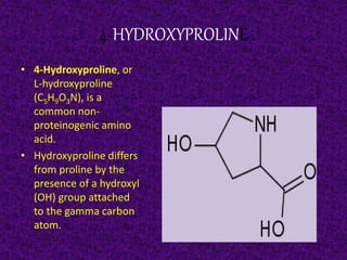 Uncommon amino acid by KK Sahu sir | PPT