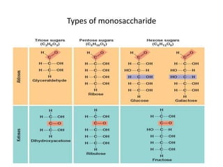 Monosaccharide by KK Sahu sir | PPTX | Nutrition | Healthy Living