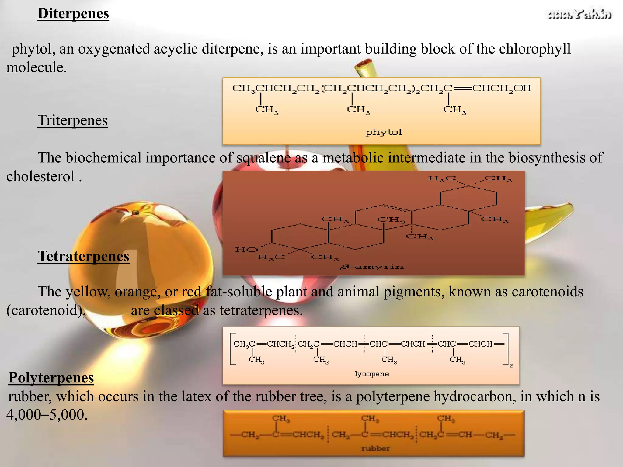 Isoprenoides by KK Sahu sir | PPT