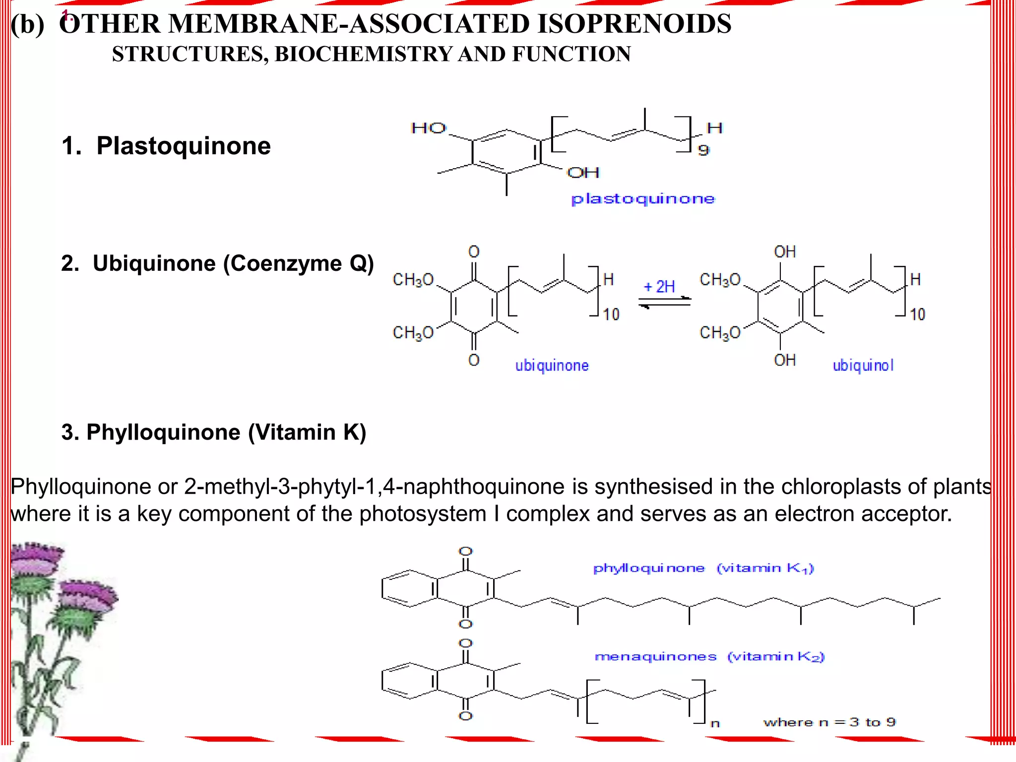 Isoprenoides by KK Sahu sir | PPT