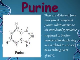 Nucleotide by KK Sahu sir | PPT