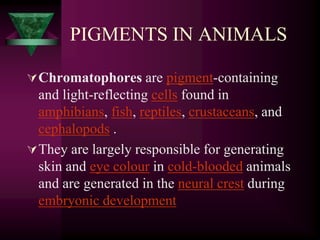 Pigment by KK Sahu sir | PPT