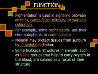 Pigment by KK Sahu sir | PPT